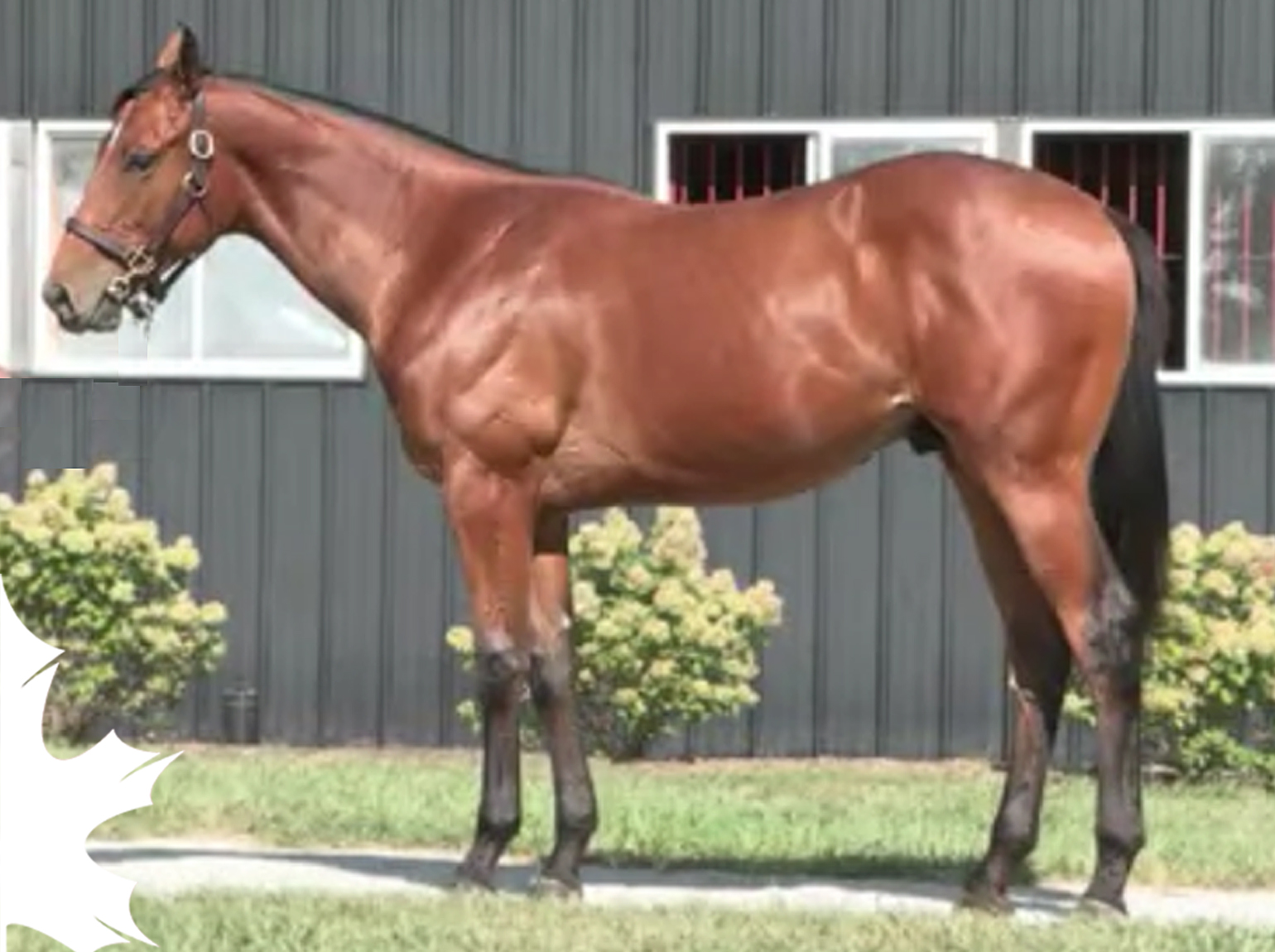 Crosby - Canuck Racing Club